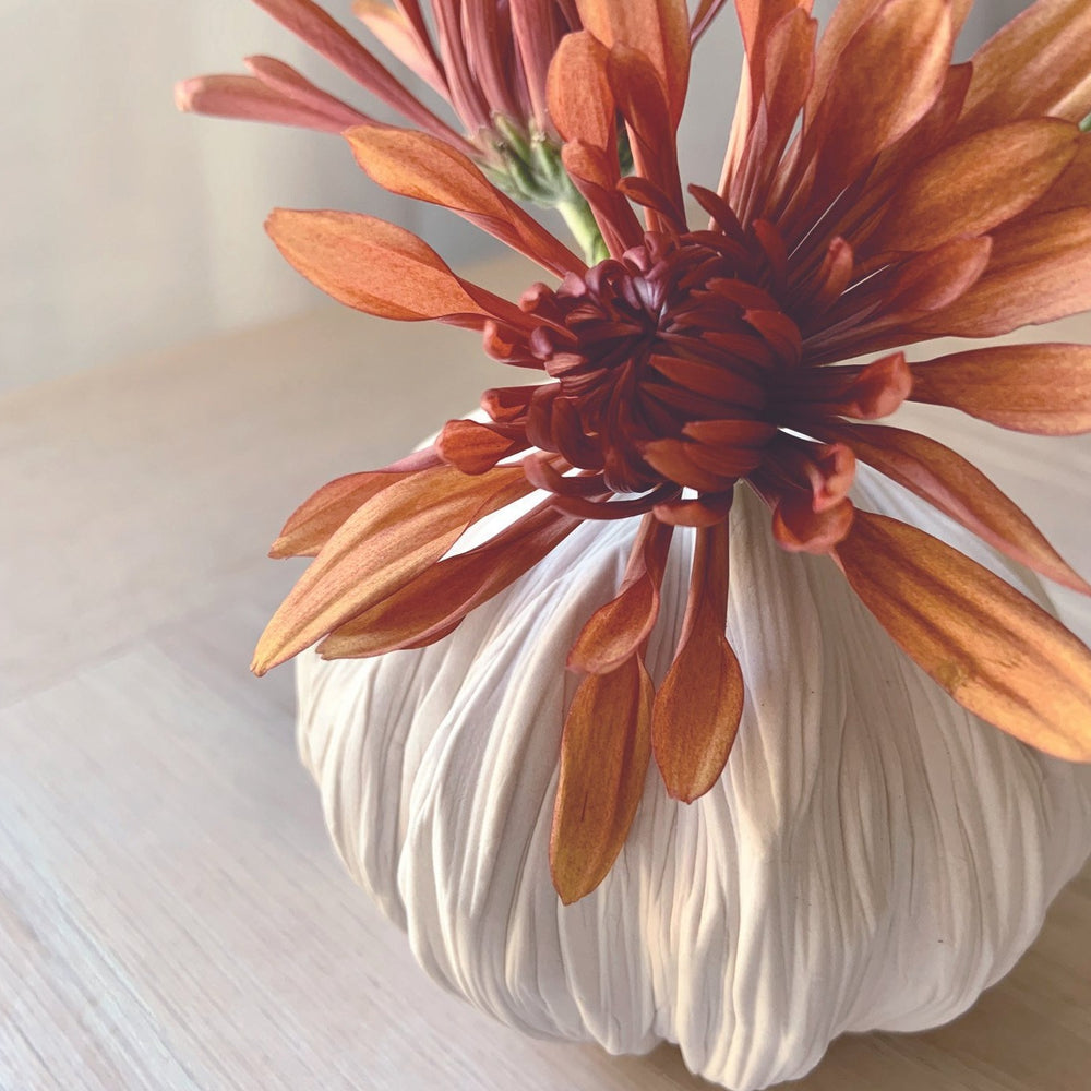 Kate Pak Handcrafted Ceramics