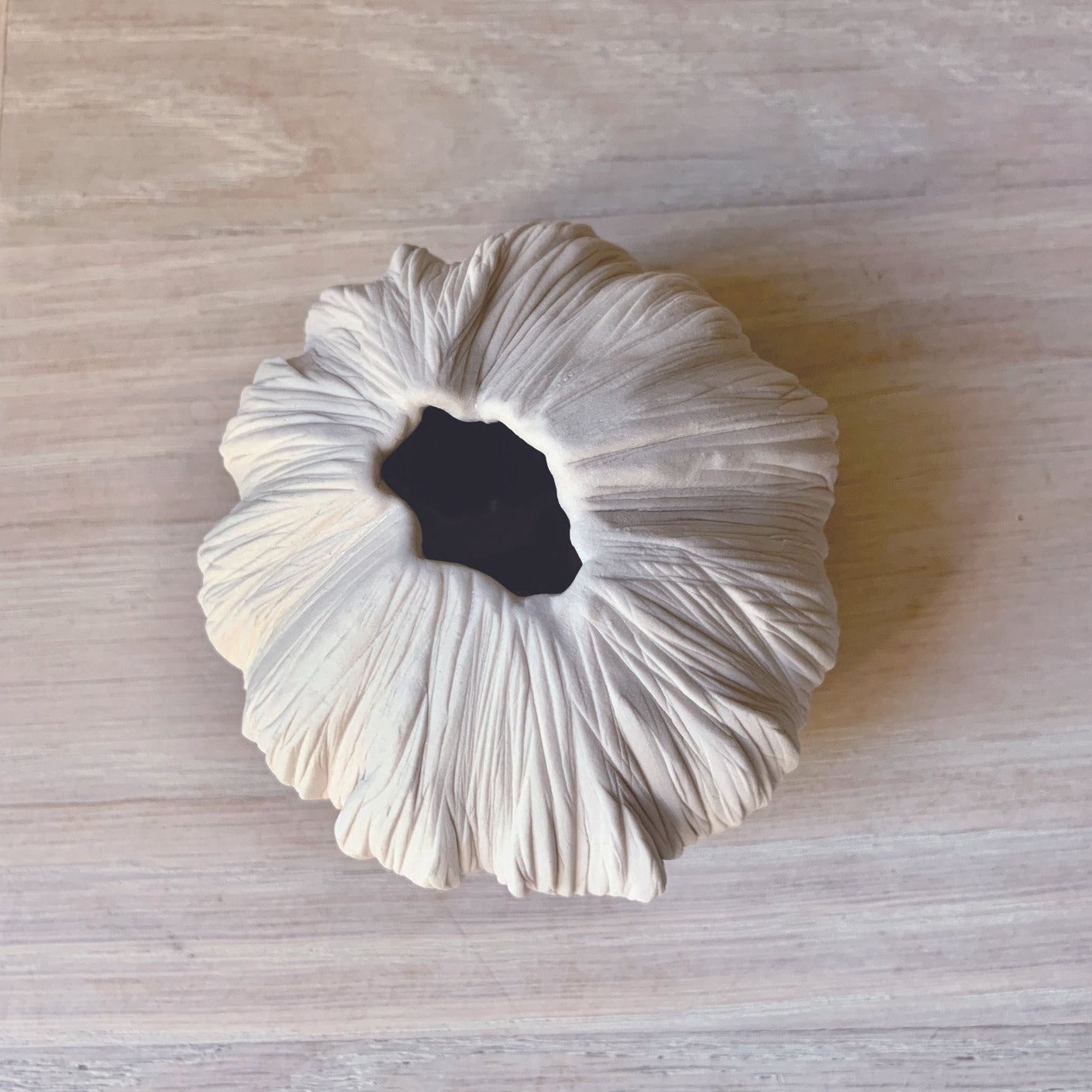 Products – Kate Pak